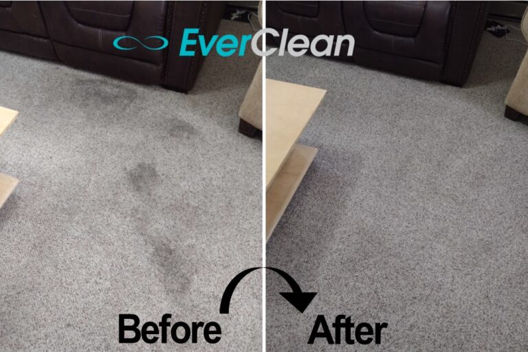 Carpet Cleaning Nashville TN – EverClean Nashville